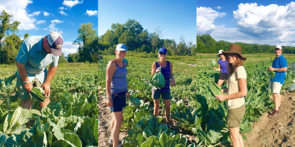 Community Commitment - Gravel & Shea PC